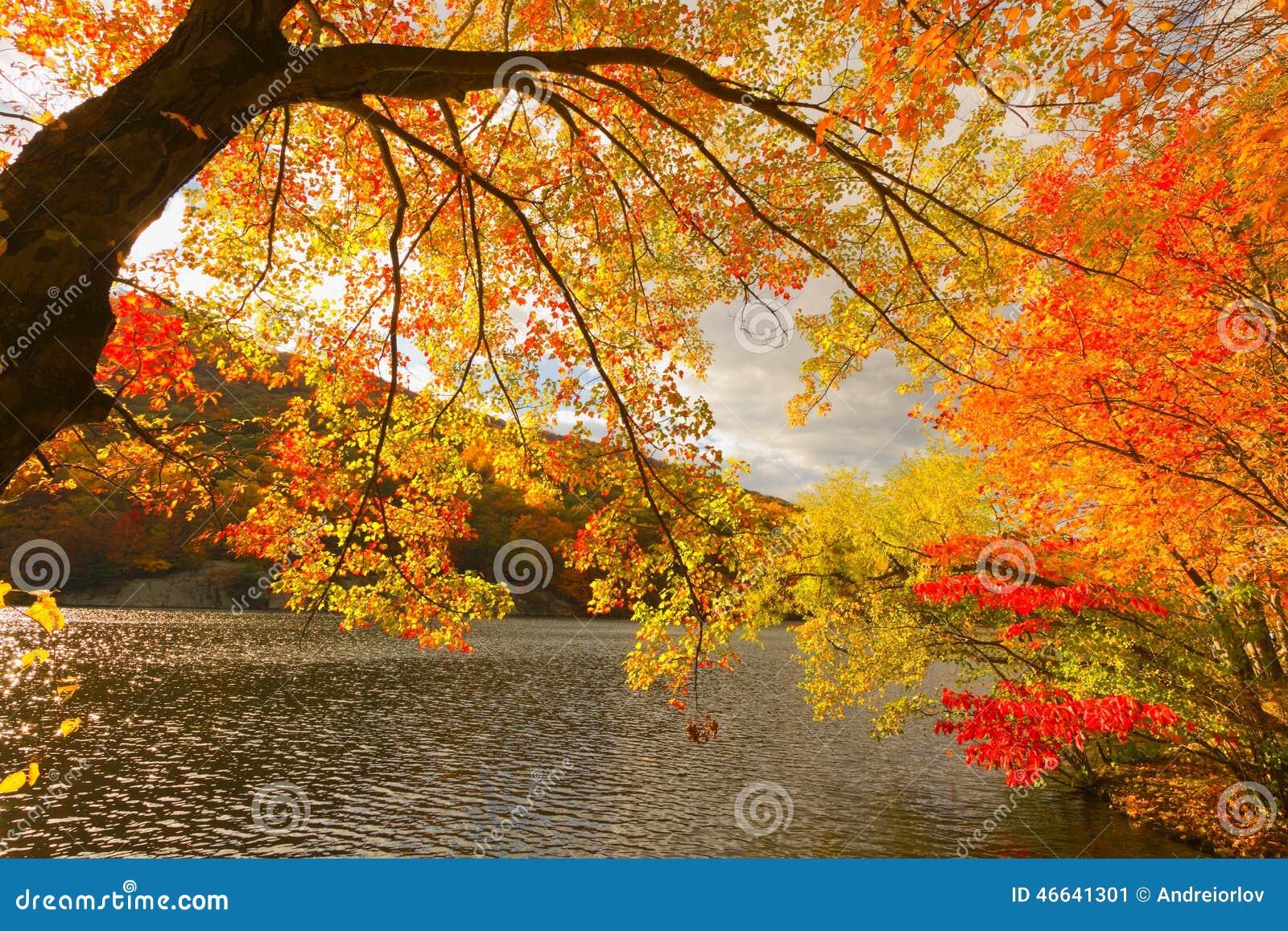 Colorful Fall Scenery Landscapes. Stock Image - Image of seasonal ...