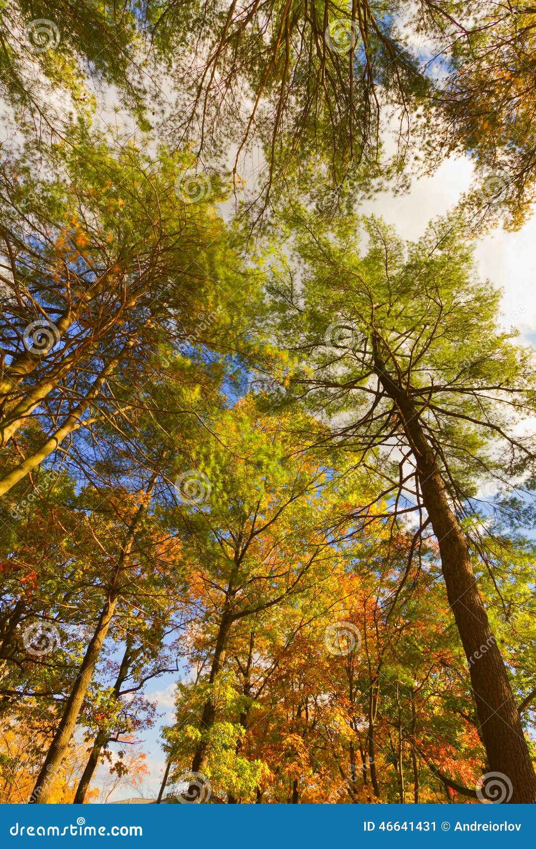 Colorful Fall Scenery Landscapes. Stock Image - Image of gorgeous ...