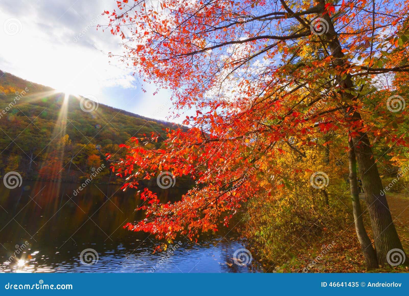 Colorful Fall Scenery Landscapes. Stock Image - Image of river ...