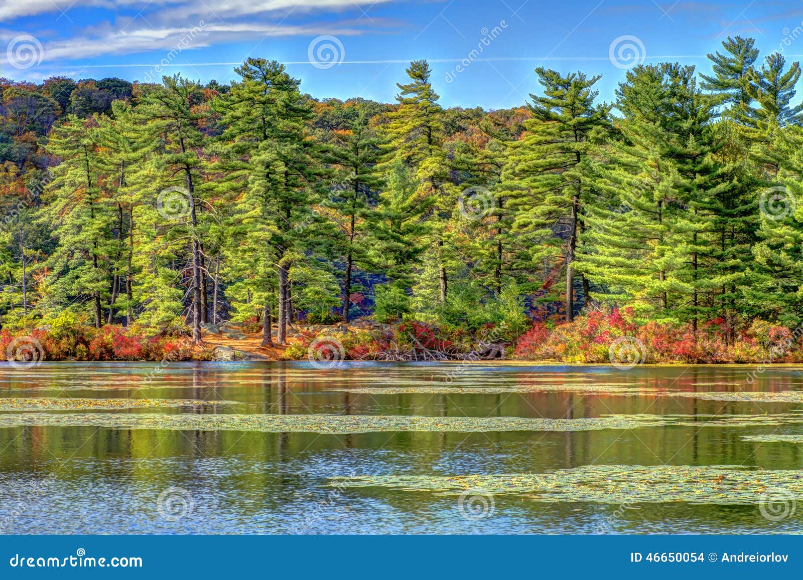 Colorful Fall Scenery View at Sunset. Stock Photo - Image of river ...