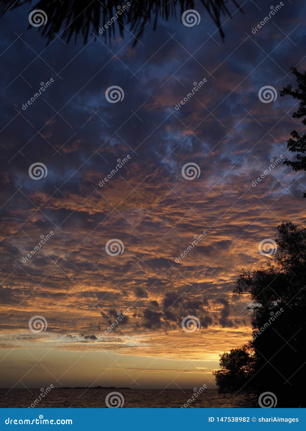 Colorful Fall Sunset stock photo. Image of tree, silhouette - 147538982