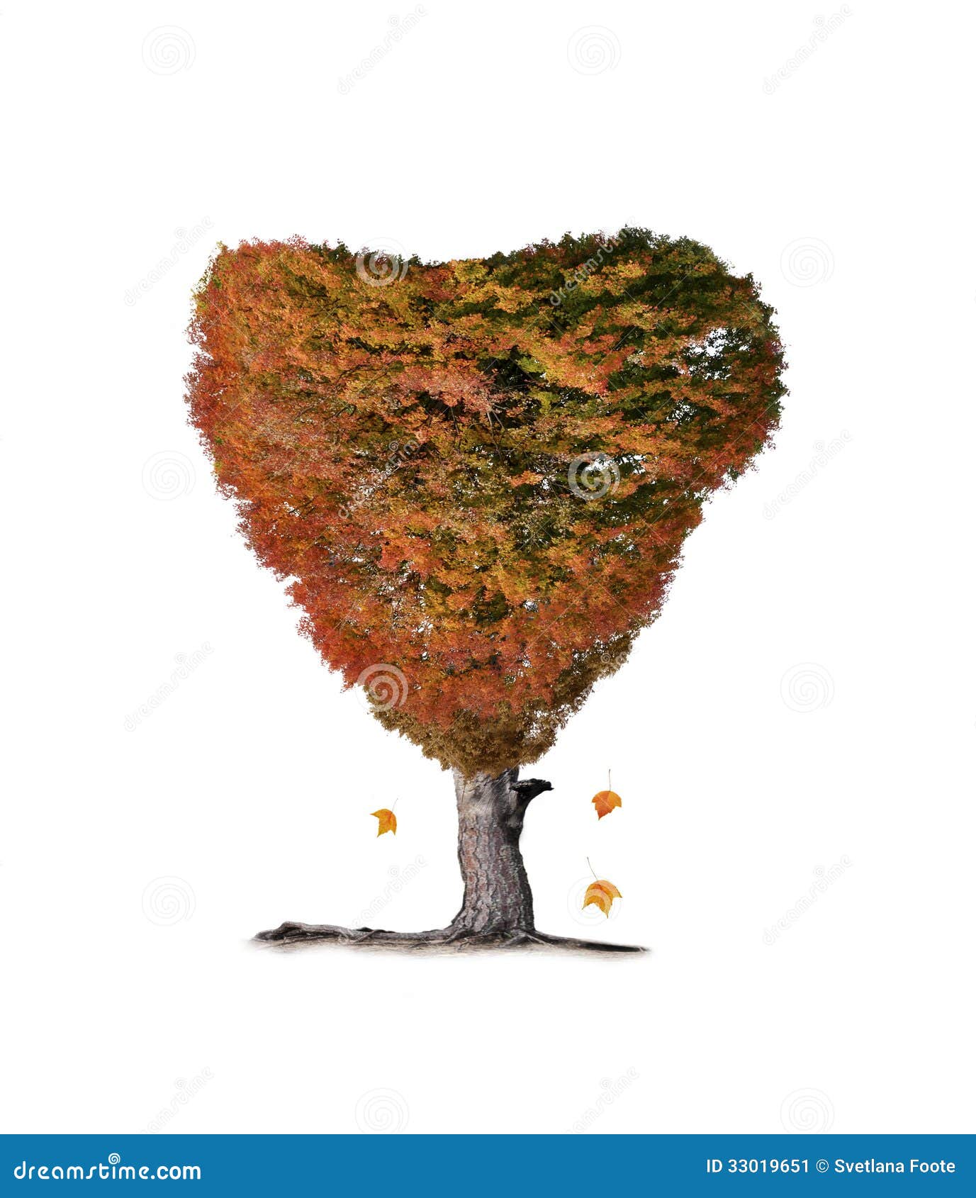 Colorful Fall Tree stock image. Image of flora, lonely - 33019651