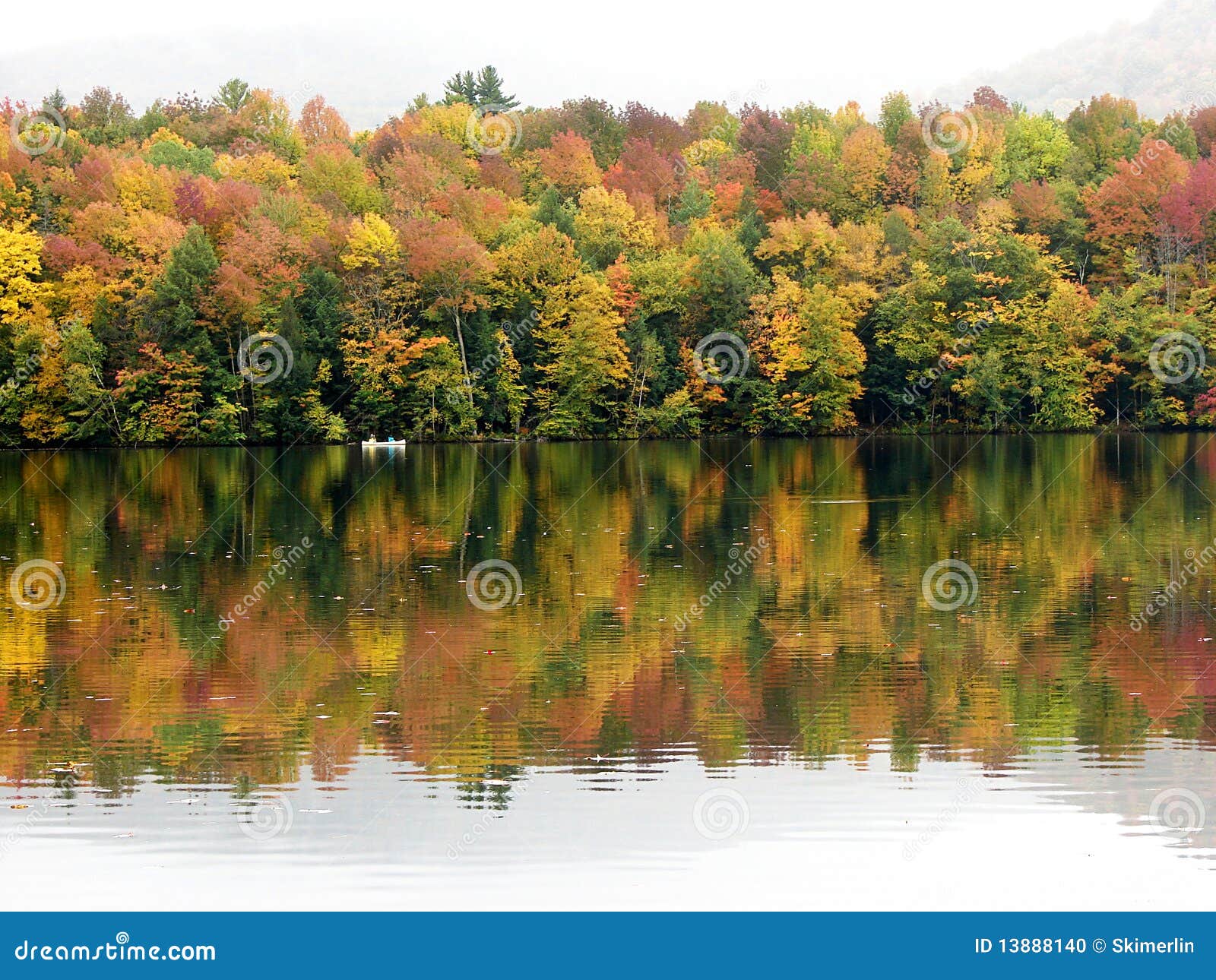 Colorful Fall Trees and Pond Stock Photo - Image of reflection ...