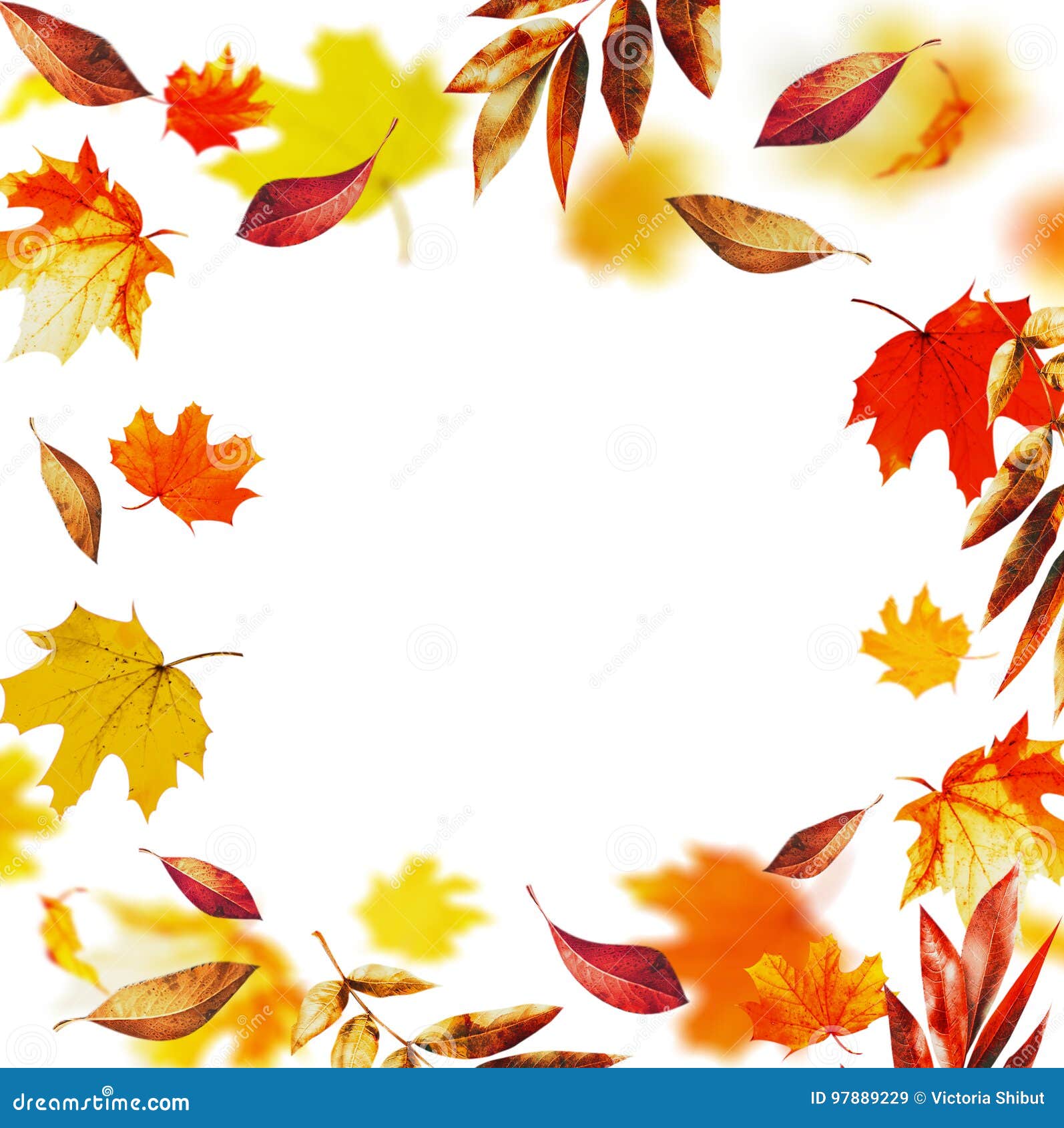 Colorful Falling Autumn Leaves , Fall Frame, Isolated on White ...