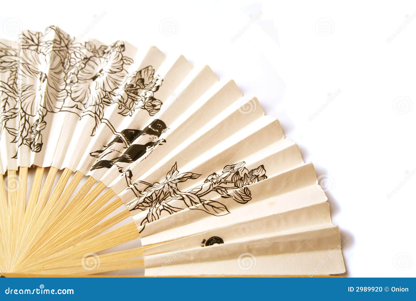 21,886 Colorful Fan Stock Photos - Free & Royalty-Free Stock Photos ...