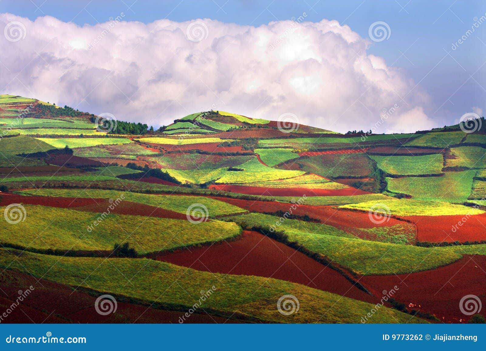 Colorful farm stock photo. Image of draw, canvas, landscape - 9773262