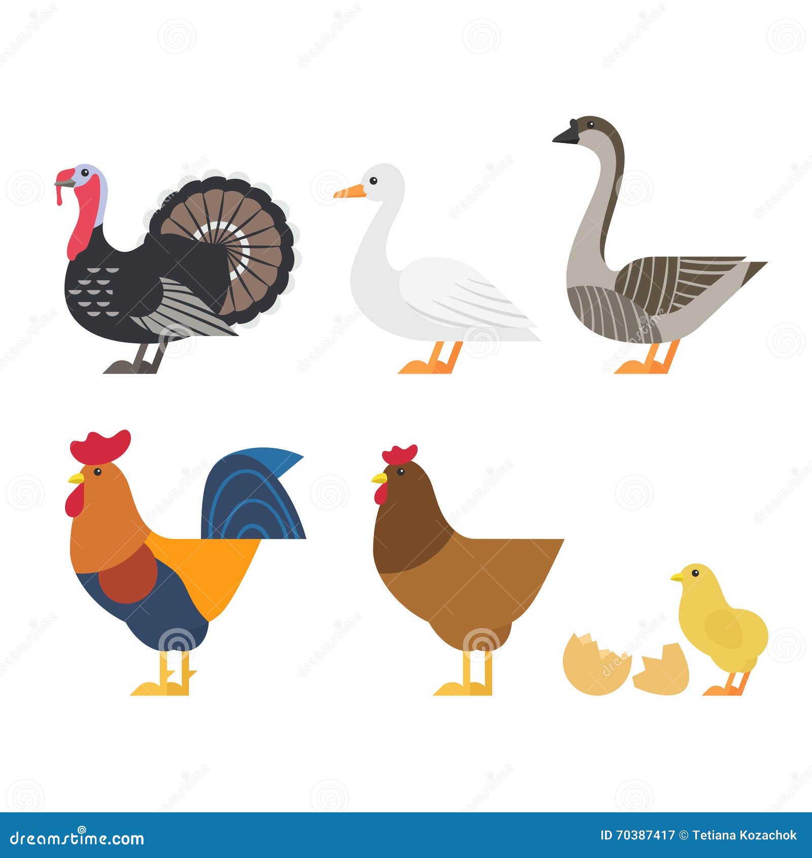 Colorful farm bird icons. stock vector. Illustration of peacock - 70387417