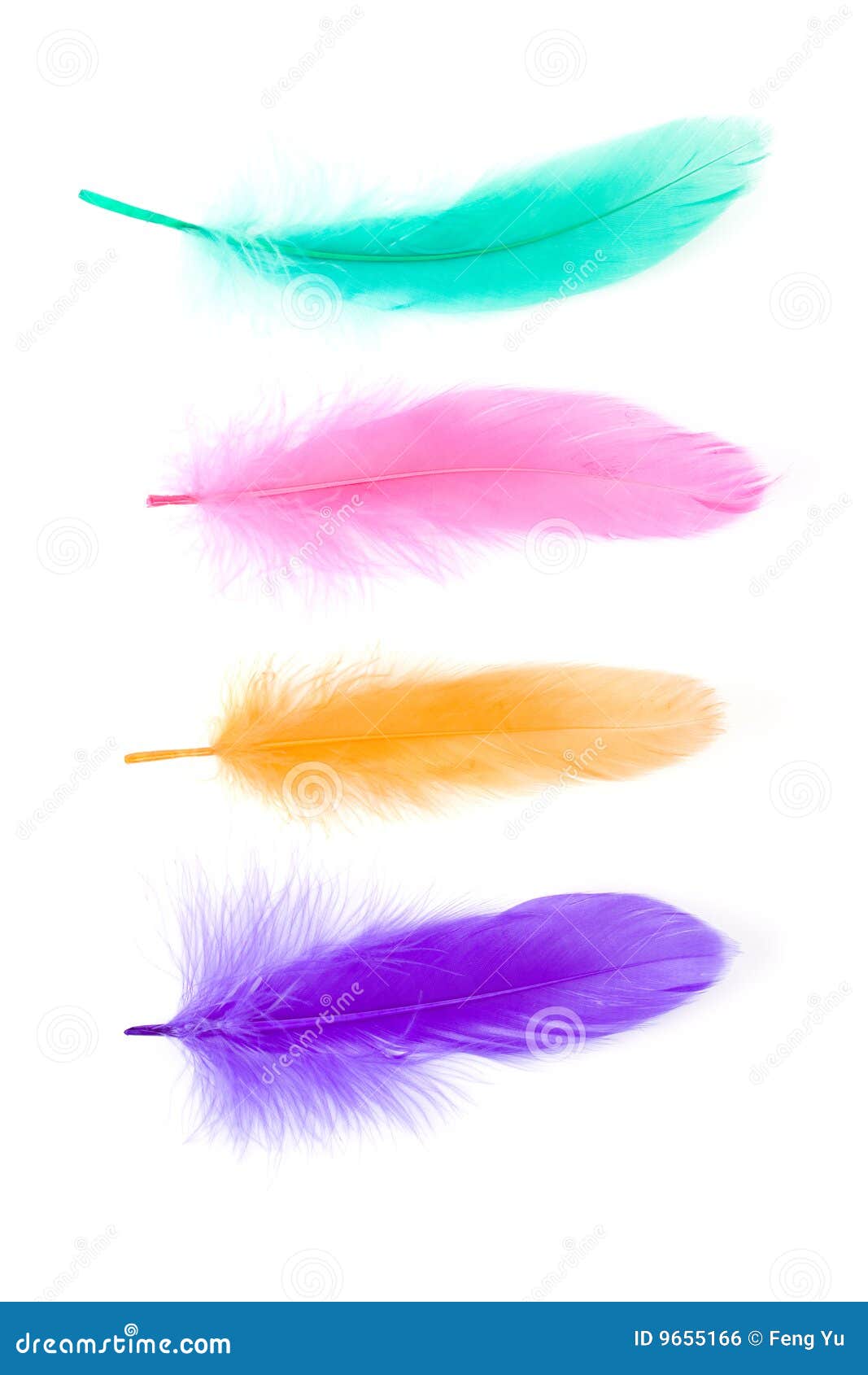 Colorful Feather Background Stock Photography | CartoonDealer.com #10157132