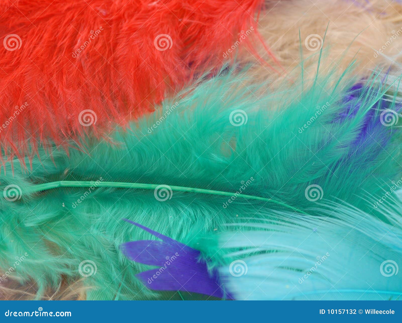 Colorful Feather Background Stock Photography | CartoonDealer.com #10157132