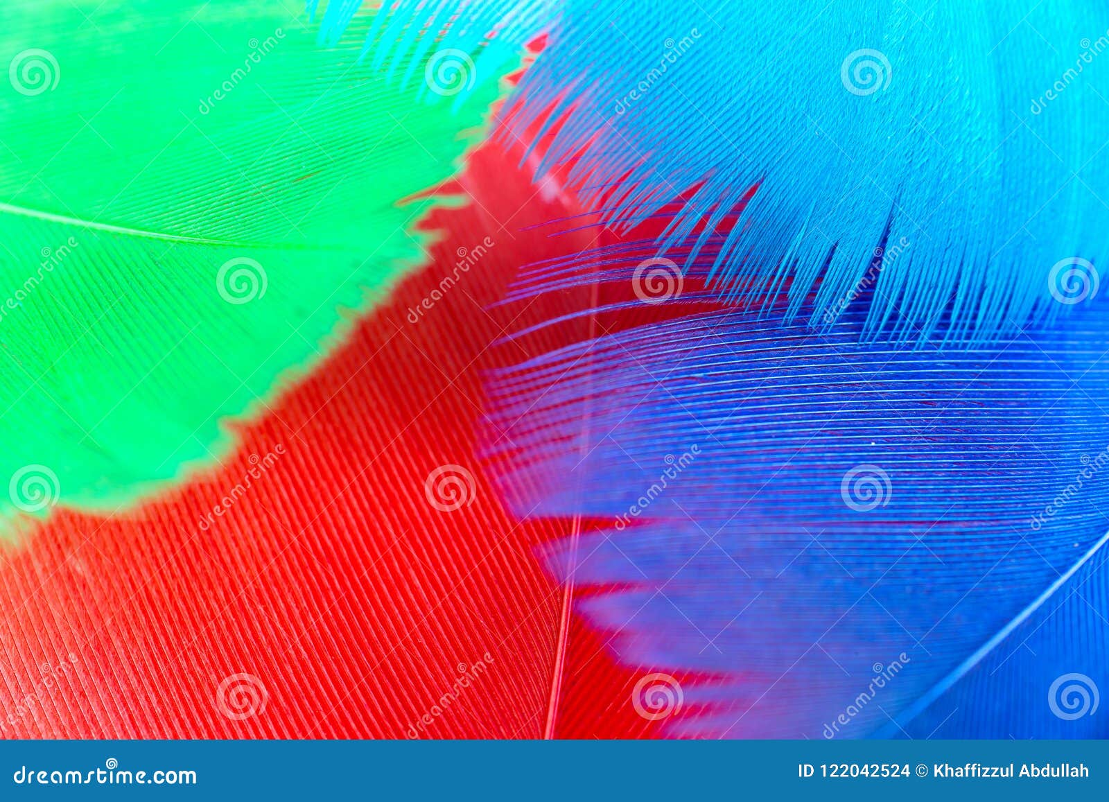 Colorful Feather Background Stock Photo - Image of texture, feathers ...