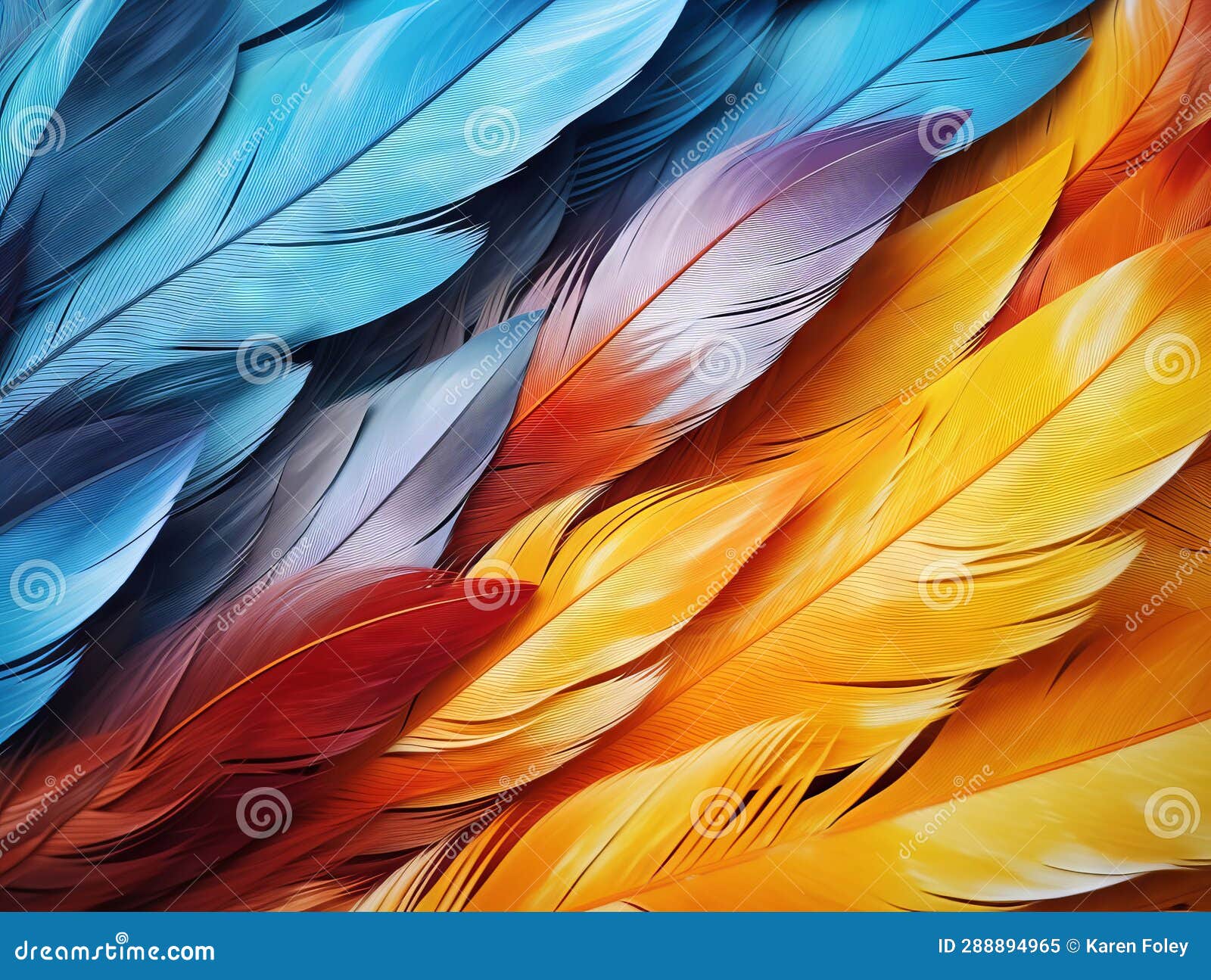 Colorful Feather Background Stock Illustration - Illustration of ...
