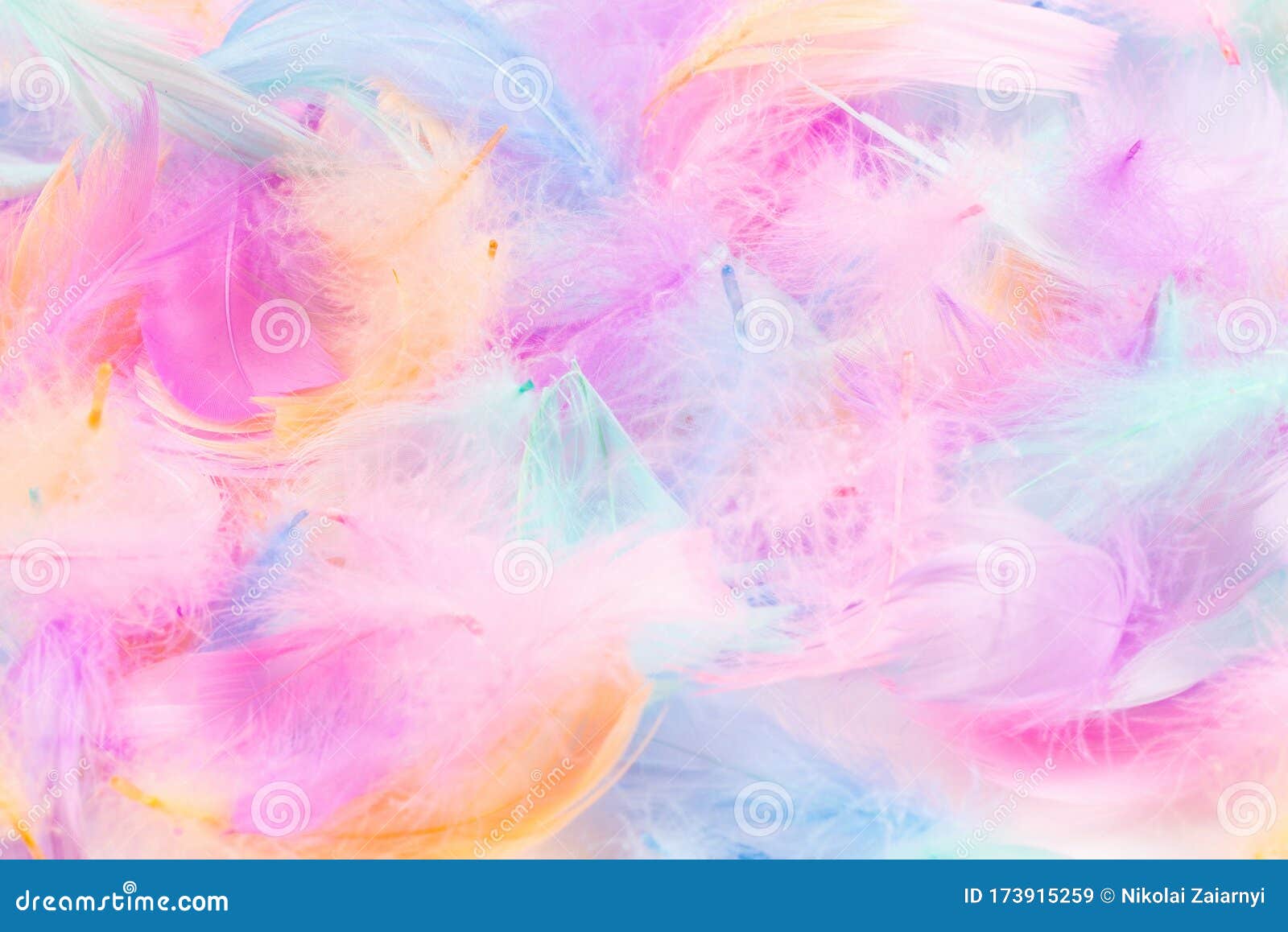 Colorful Feather Background, Isolated on White Stock Image - Image of ...