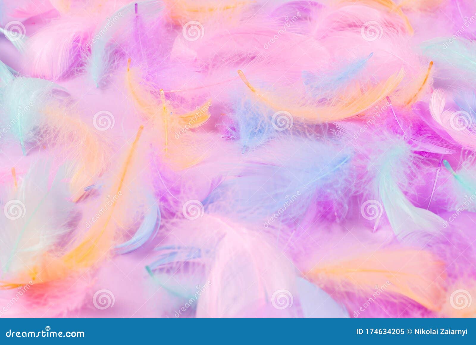 Colorful Feather Background Stock Image - Image of light, detail: 174634205