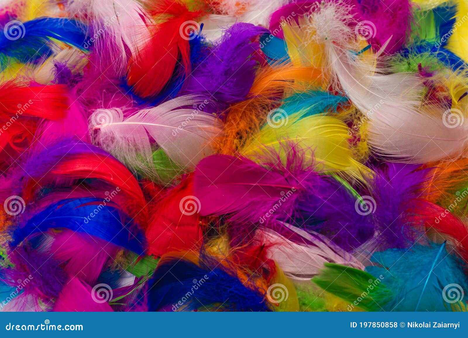 Colorful Feather Background Stock Photo - Image of feathers, colorful ...