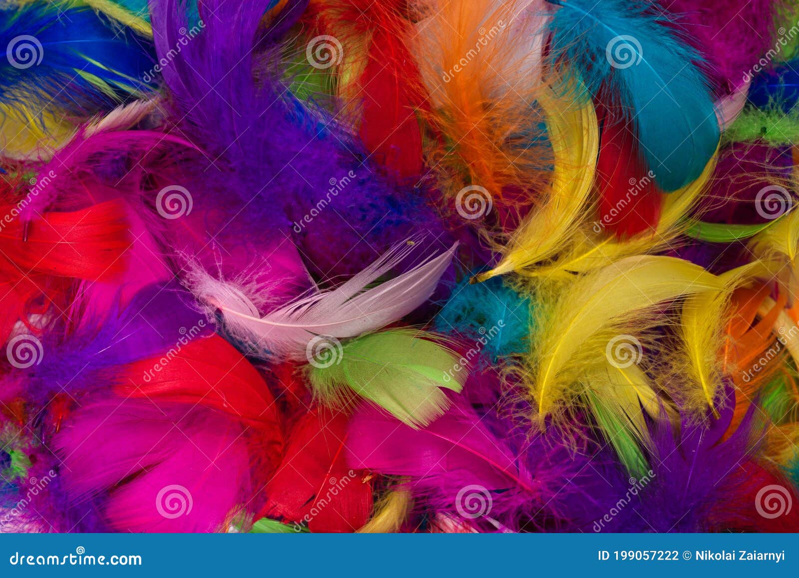 Colorful Feather Background Stock Photo - Image of cheerful, bright ...