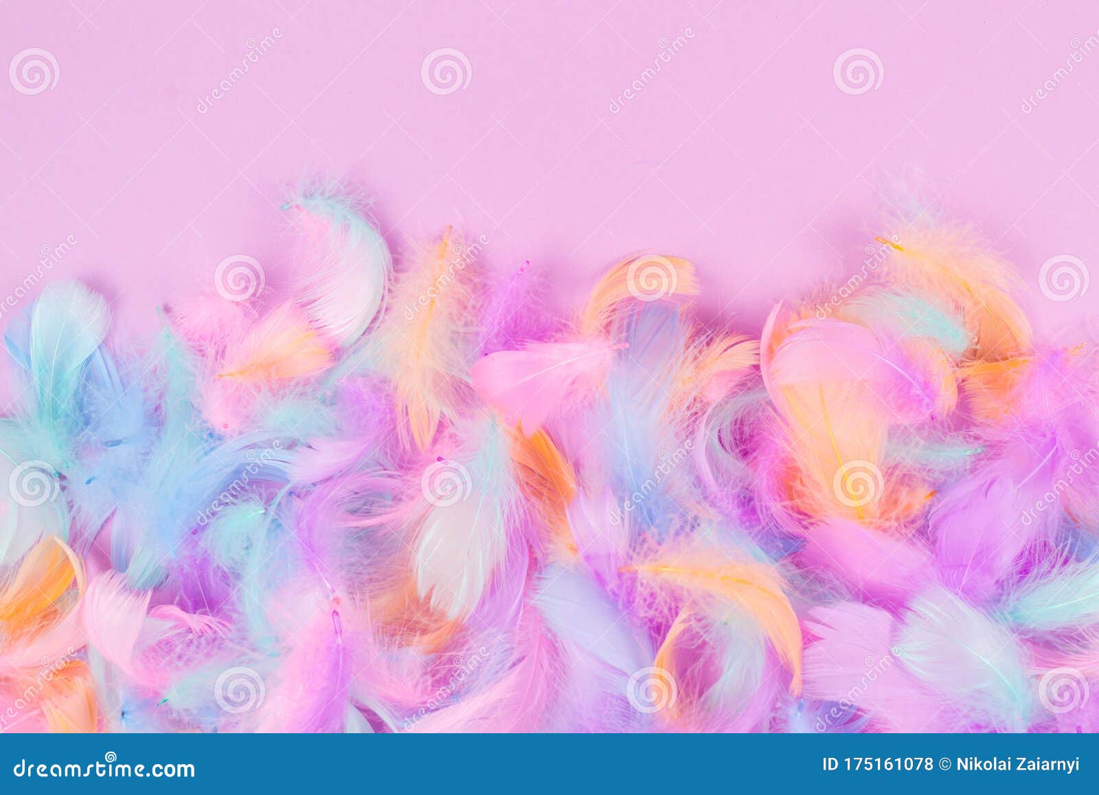 Colorful Feather Background Stock Photo - Image of magenta, colored ...