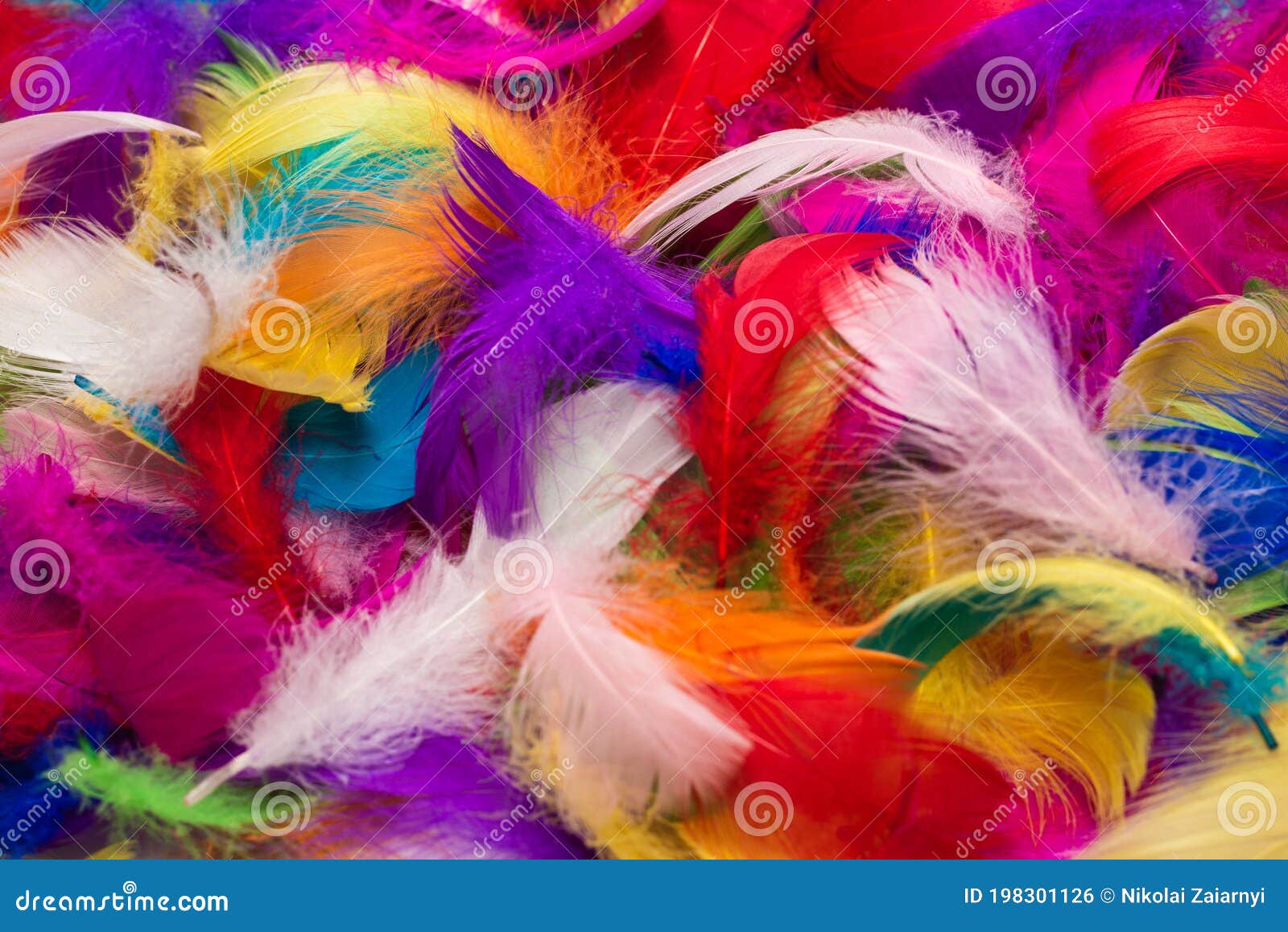 Colorful Feather Background Stock Photo - Image of full, carnival ...