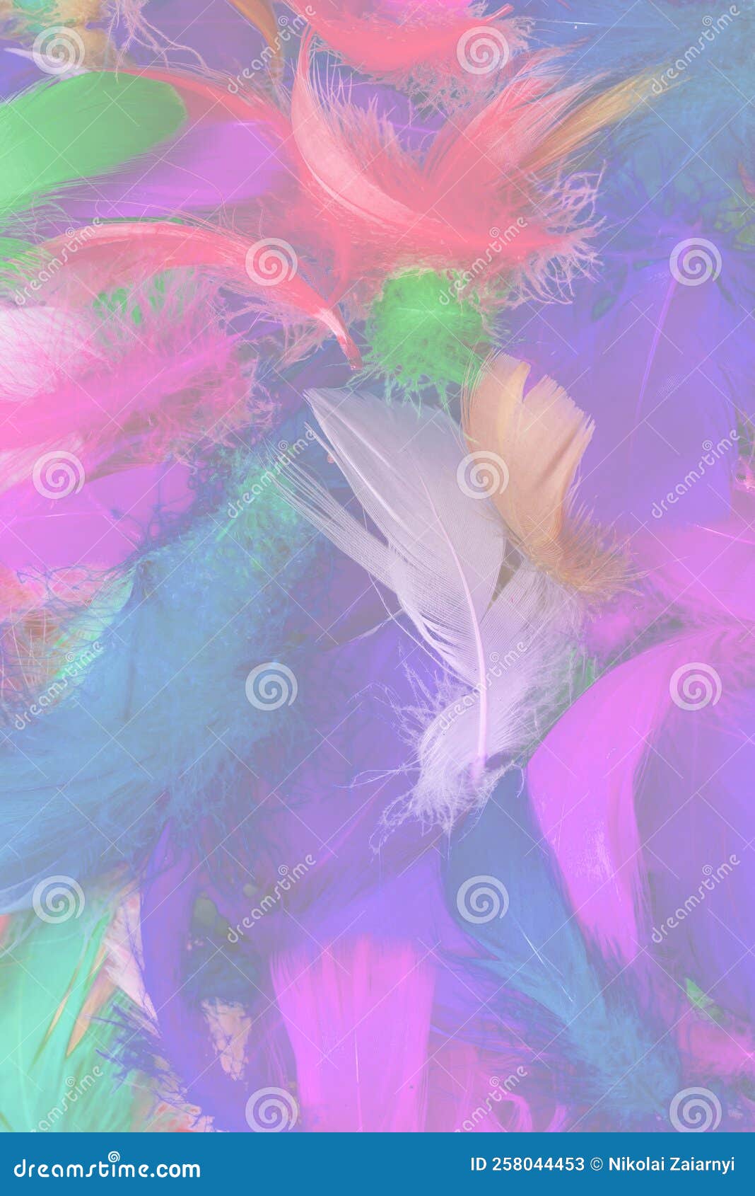 Colorful Feather Background Stock Image - Image of exotic, fluffy ...
