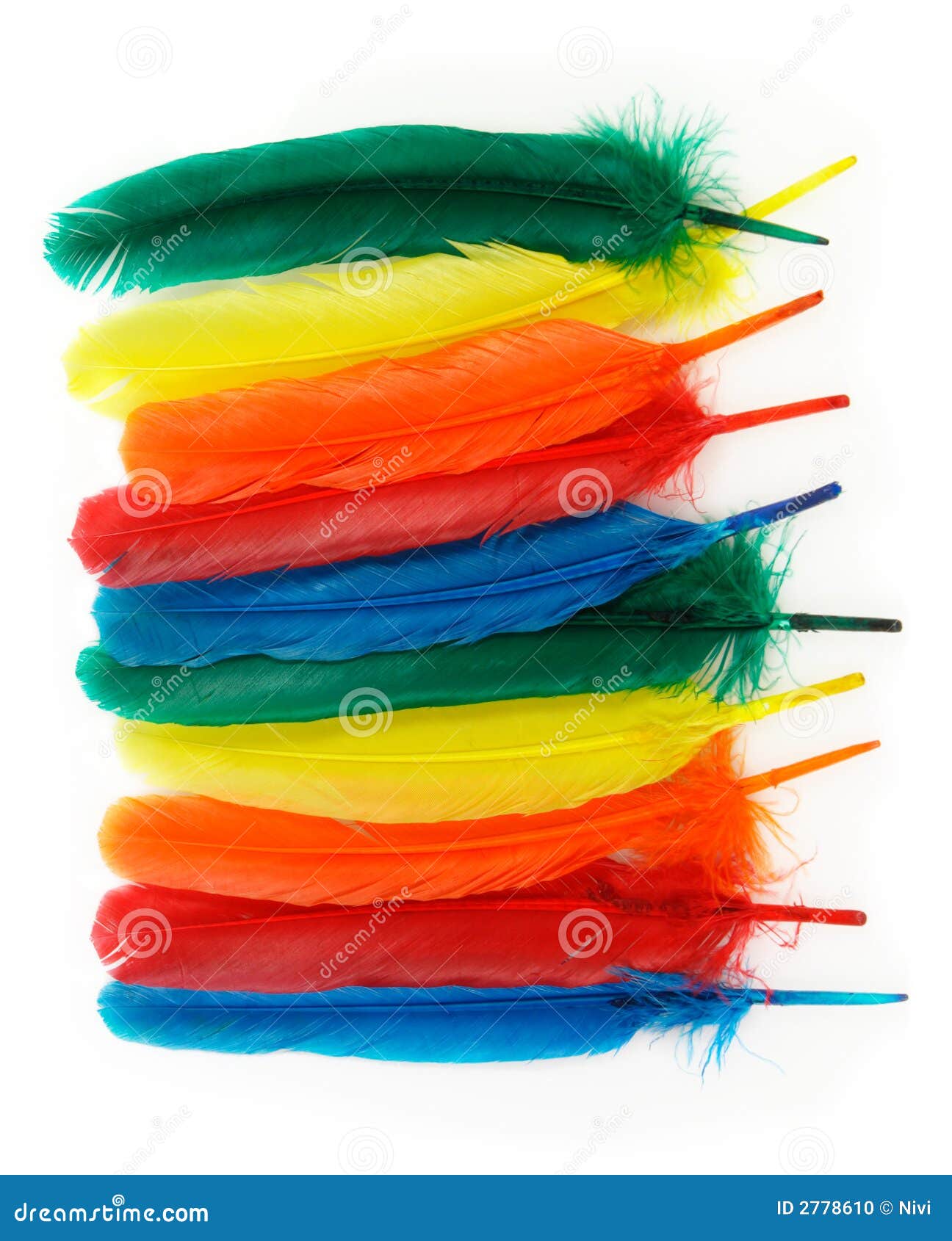 Colorful feathers stock photo. Image of rainbow, isolate - 2778610