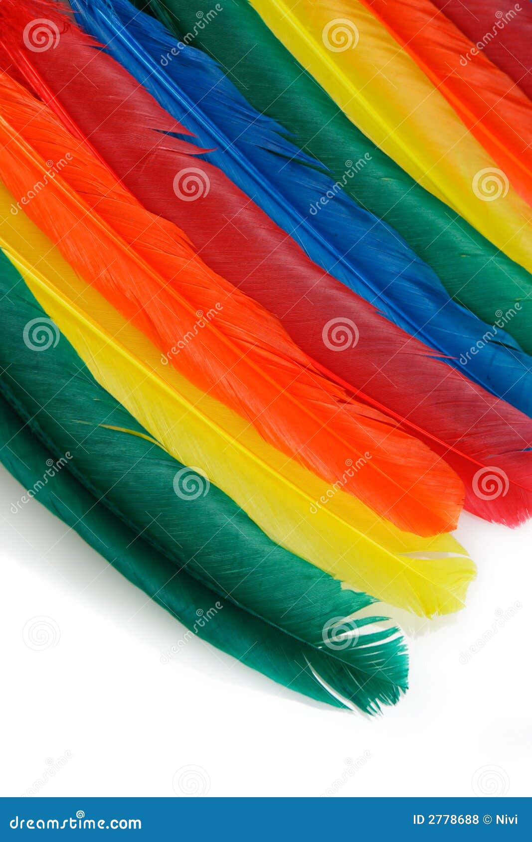 Colorful feathers stock photo. Image of feather, colorful - 2778688