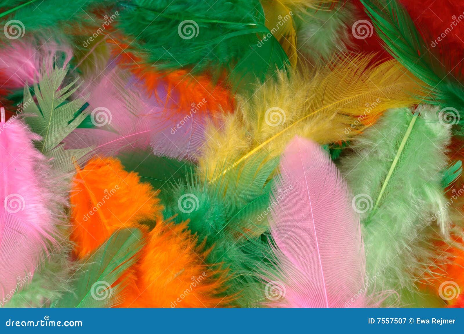 Colorful Feathers stock image. Image of symbol, decoration - 7557507
