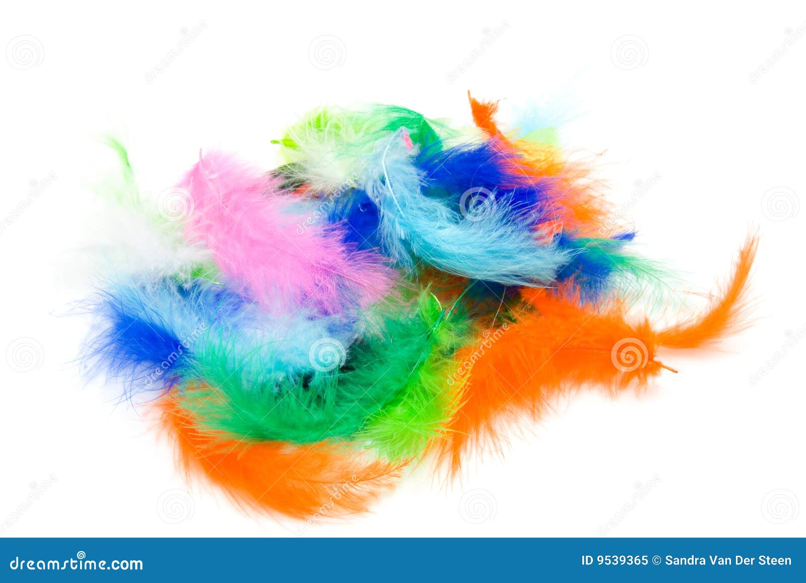 Colorful Feathers In The Form Of A Border. Isolated On Yellow ...