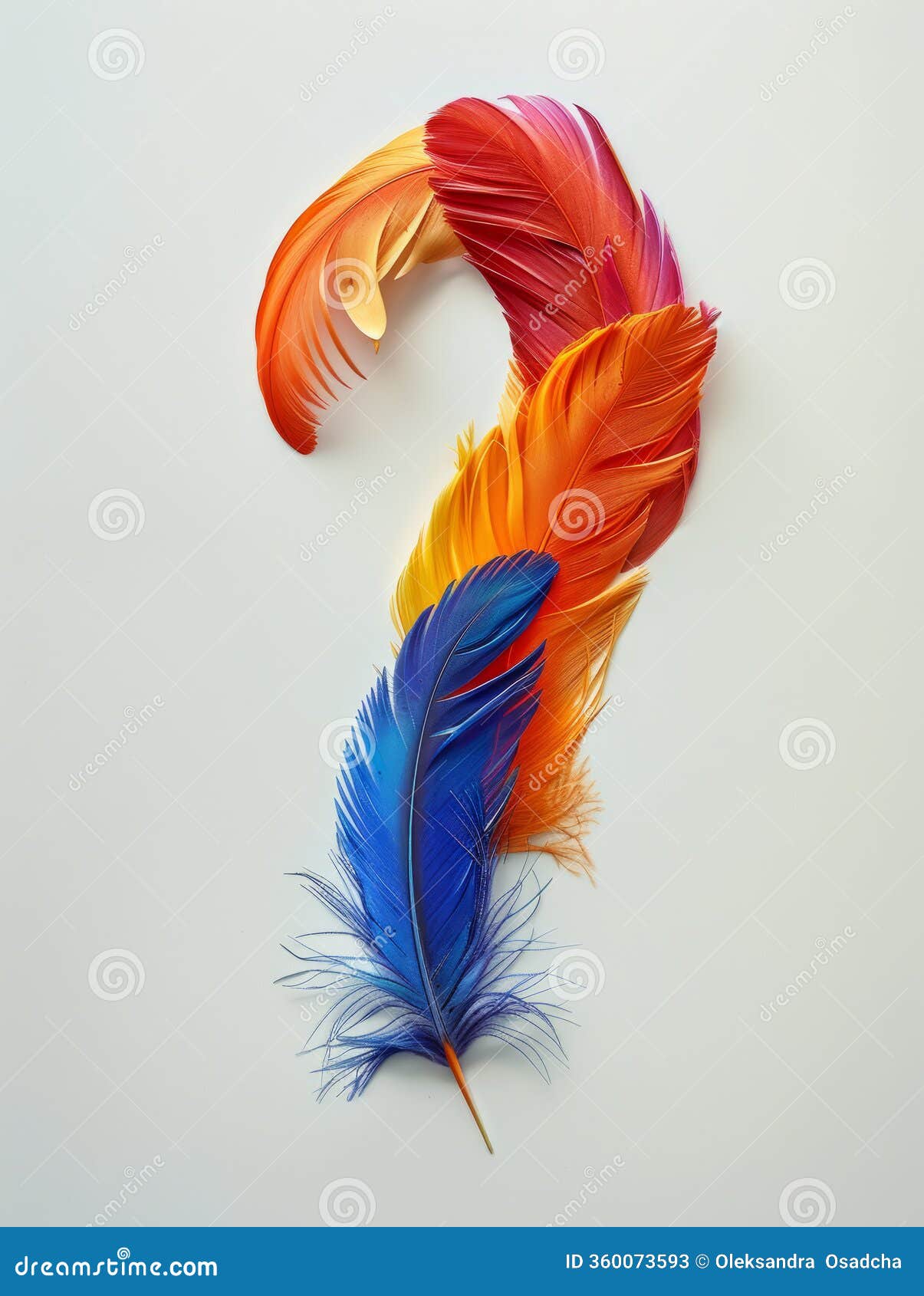 Colorful Feathers Arranged in the Shape of a Question Mark. Stock Image ...
