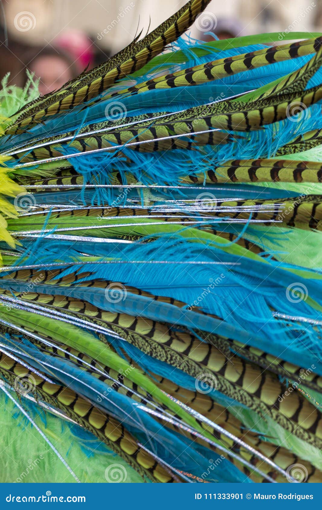 Colorful Feathers of Carnival Suit Stock Image - Image of close ...