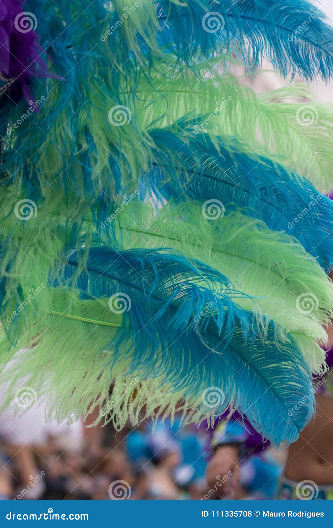 Colorful Feathers of Carnival Suit Stock Photo - Image of colorful ...