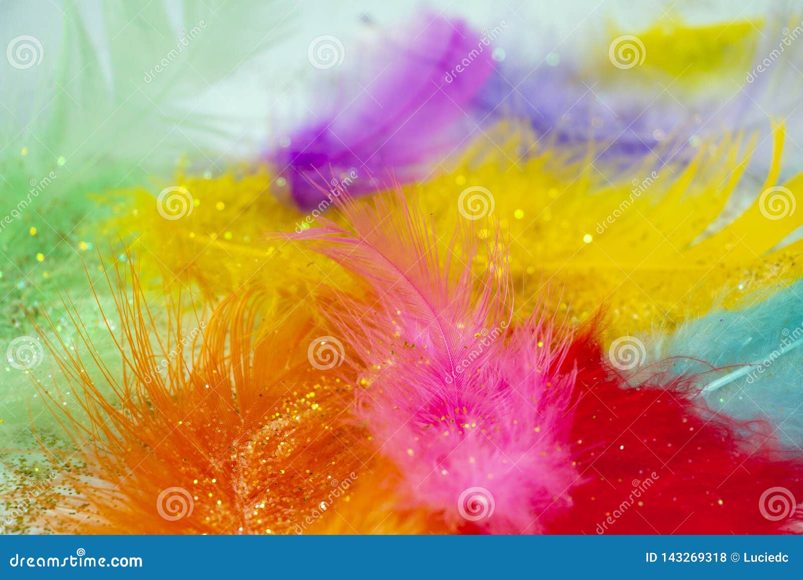 Colorful Feathers with Golden Sprinkle Stock Photo - Image of ...