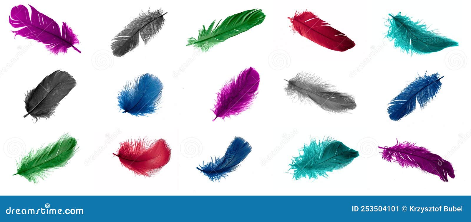 Colorful Feathers of a Goose on a White Isolated Background Stock Image ...