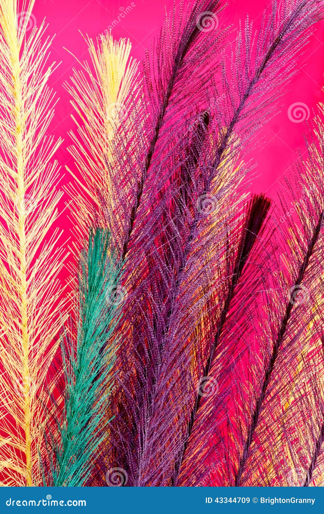 Colorful Feathery Background Stock Image - Image of texture, violet ...