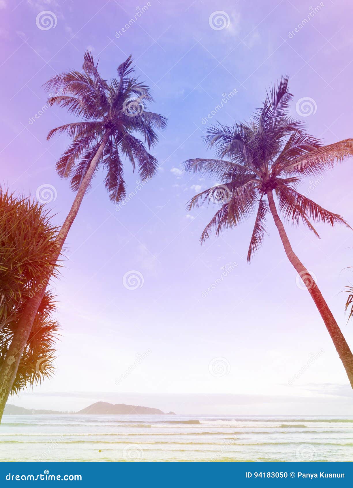 Colorful Filter Style Palm Trees on the Beach. Stock Photo - Image of ...