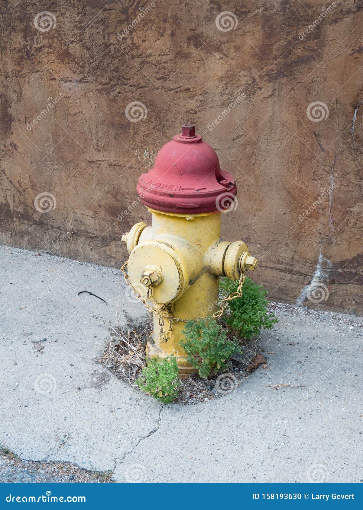 Colorful fire hydrant stock photo. Image of fire, cracked - 158193630