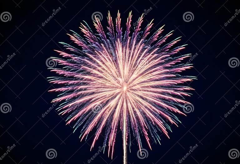 A Colorful Firework is Lit Up in the Sky Stock Illustration ...
