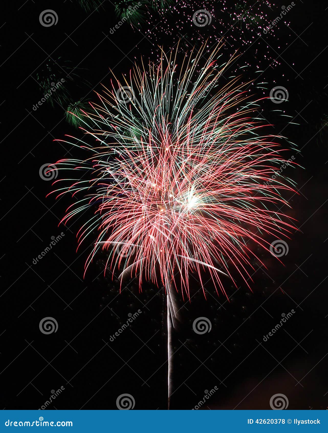 Colorful Fireworks on the Black Sky Stock Photo - Image of abstract ...