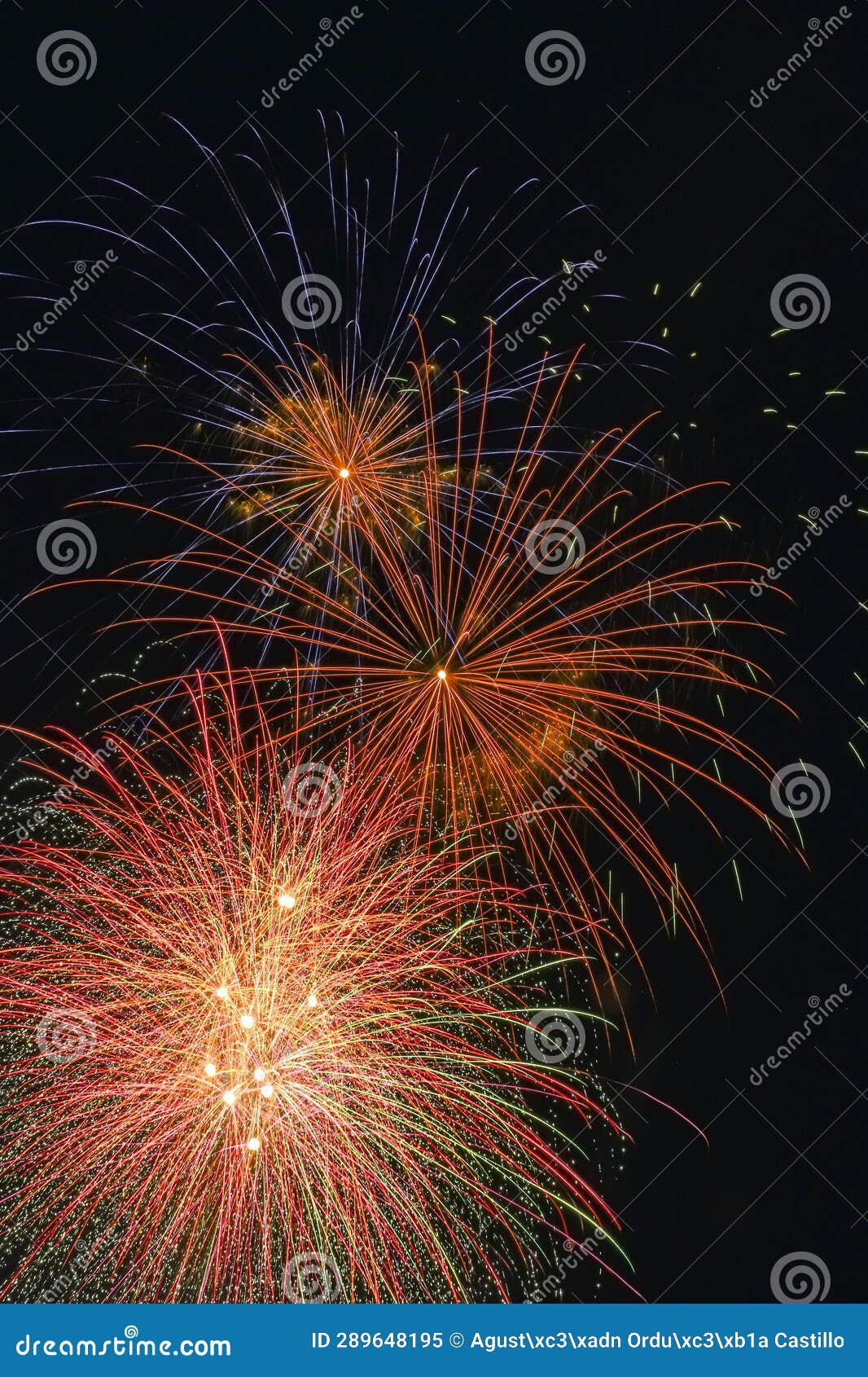 Colorful Fireworks Exploded in the Night Sky. Stock Image - Image of ...