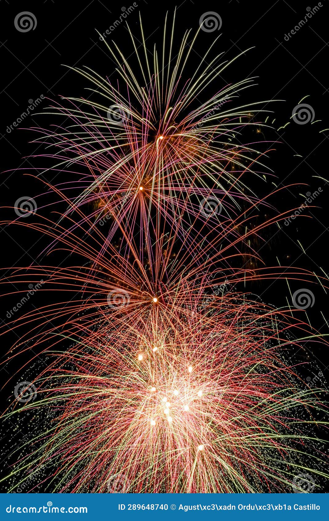 Colorful Fireworks Exploded in the Night Sky. Stock Photo - Image of ...