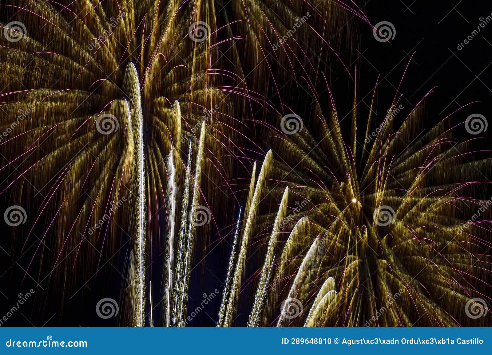 Colorful Fireworks Exploded in the Night Sky. Stock Photo - Image of ...