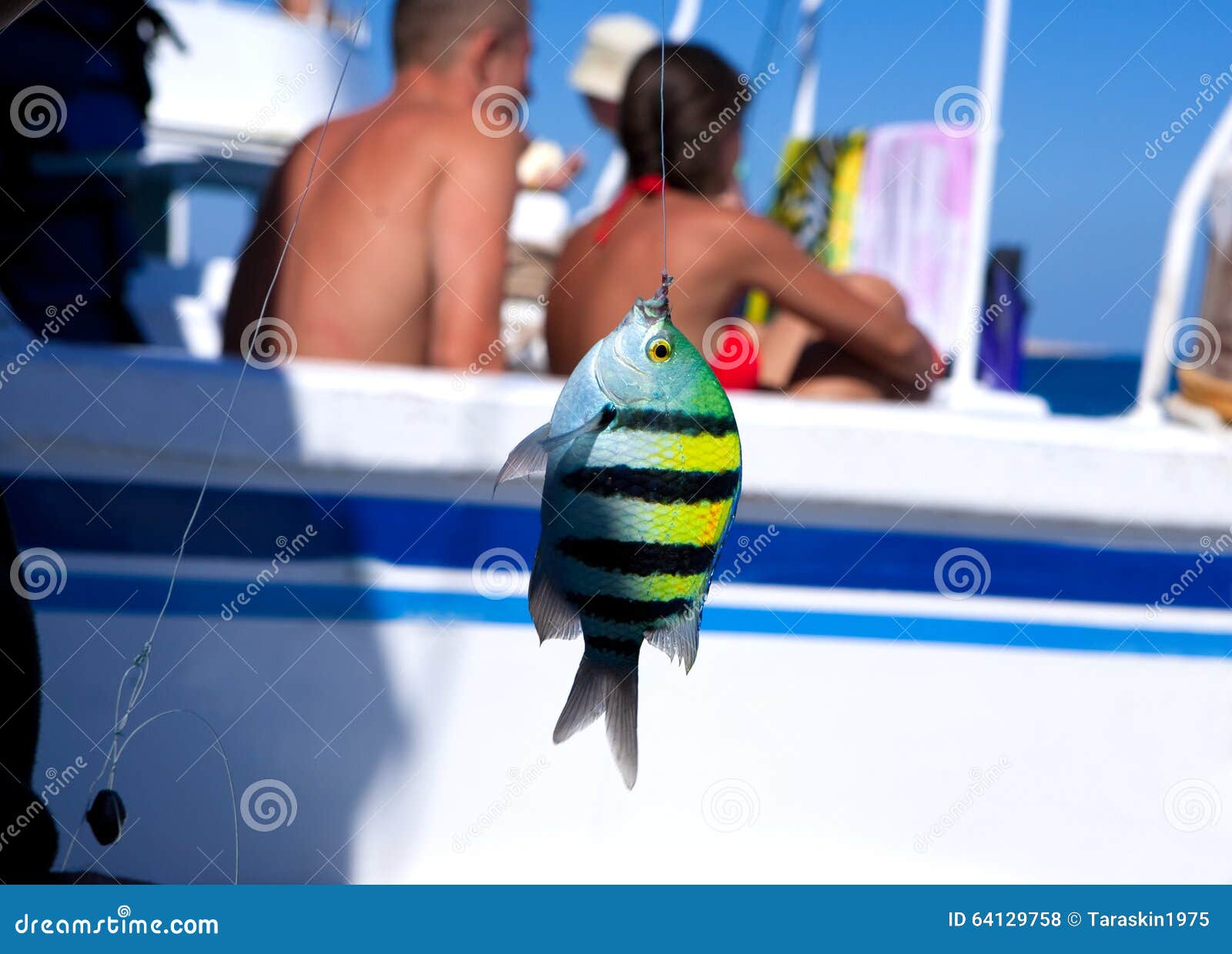 Colorful fish on the hook stock photo. Image of green - 64129758