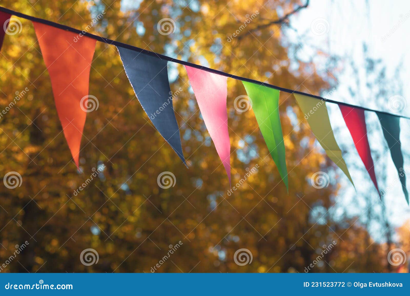 Colorful Flags Hang between the Autumn Trees in Autumn Stock Photo ...