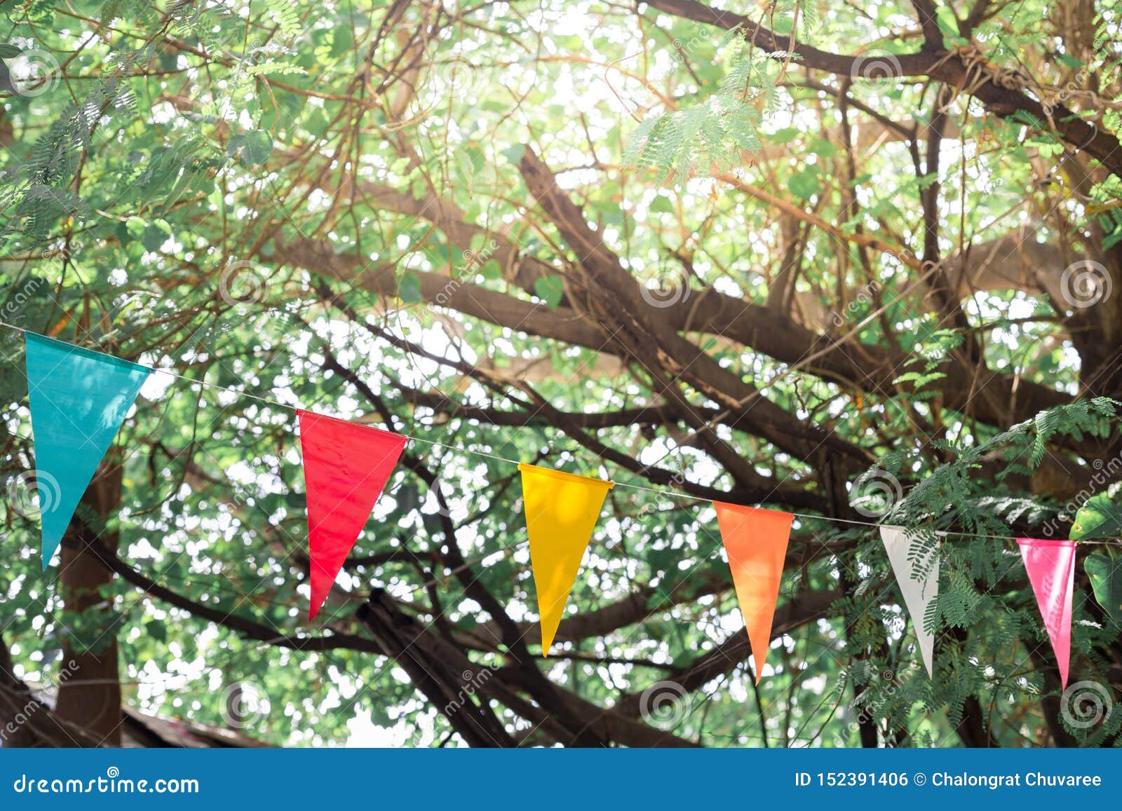 Colorful Flags on Tree and Blue Sky Background Stock Photo - Image of ...