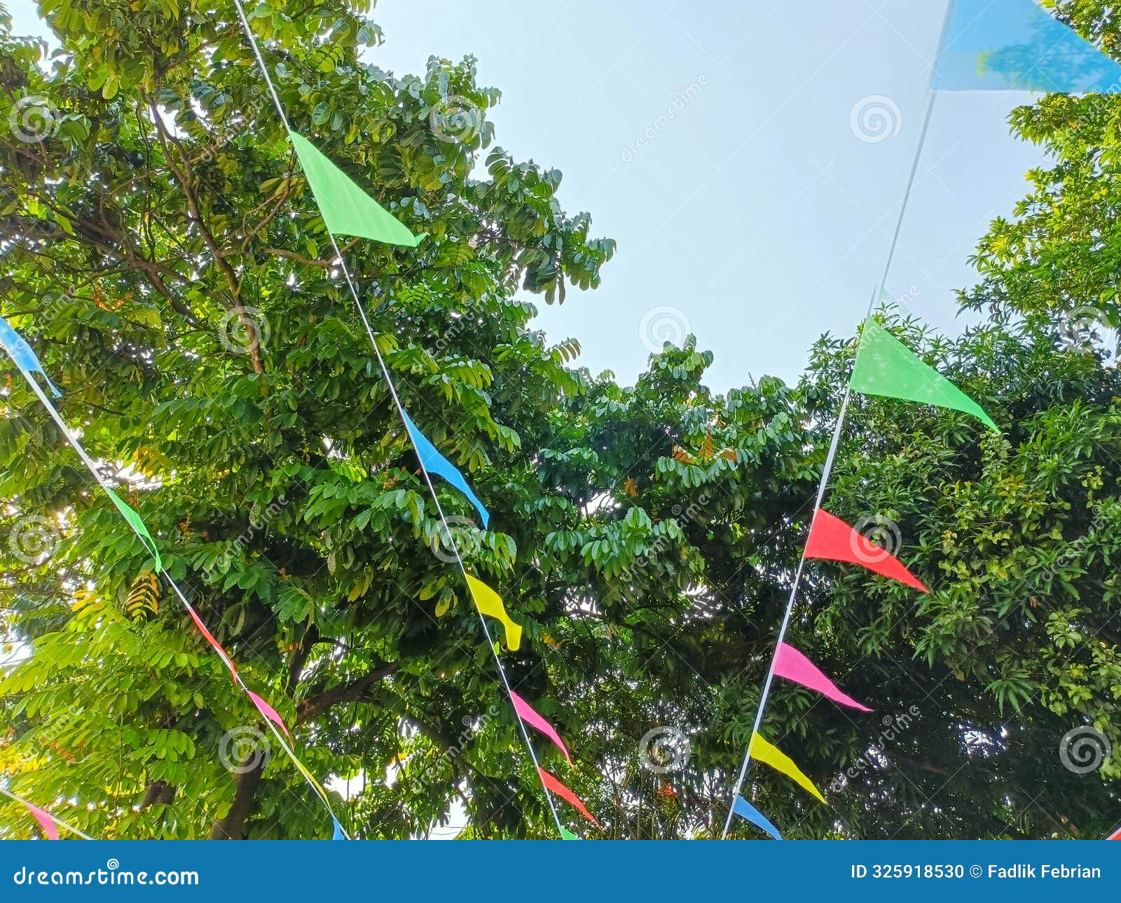 The Colorful Flags between the Trees at a Celebration Event Stock Photo ...