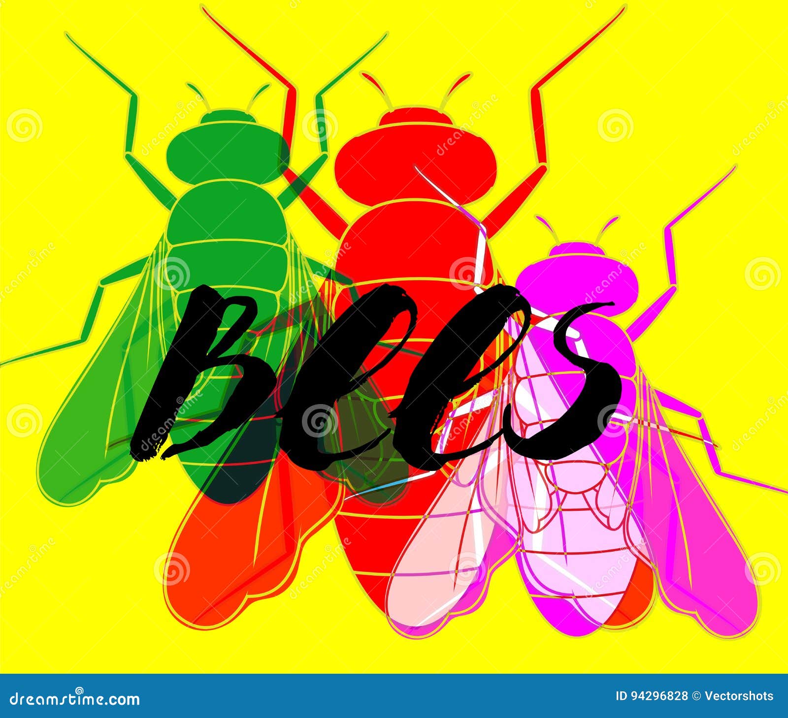 Colorful Housefly Musca Domestica. Vector Illustration. Drawing By Hand ...