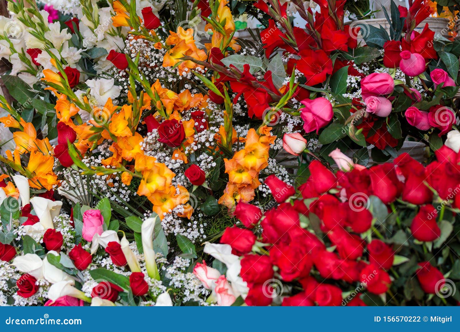 Colorful Floral Background of Mixed Flowers Stock Photo - Image of ...