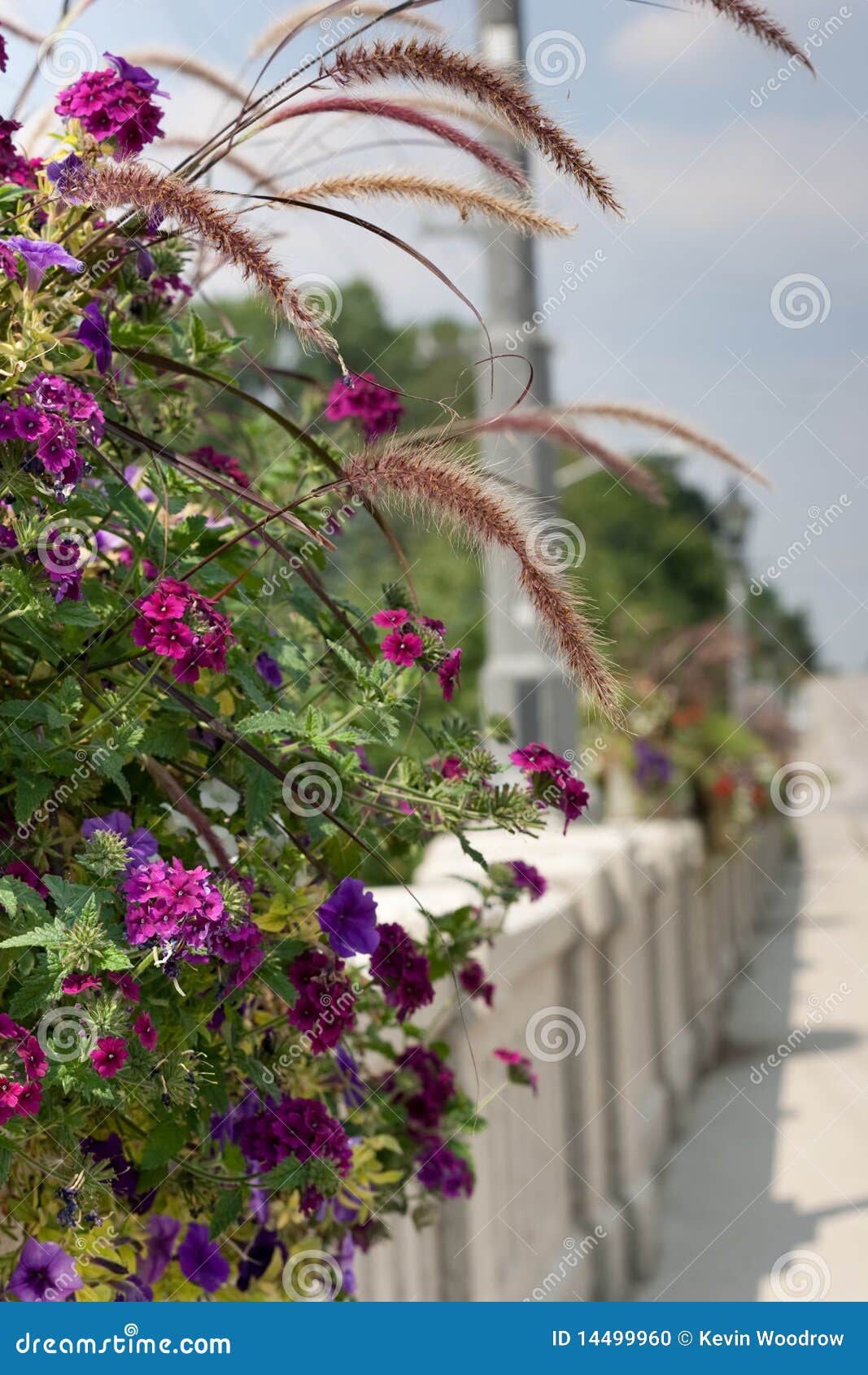 Colorful Flower Basket on Bridge Stock Photo - Image of hanging ...