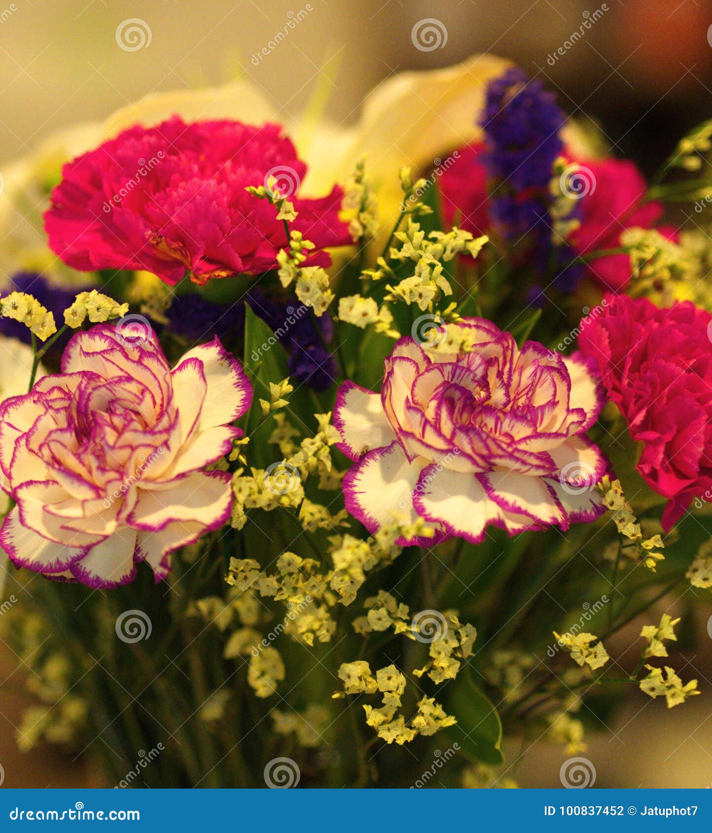 Colorful Flower Bouquet , Close-Up. with a Natural Light Stock Photo ...