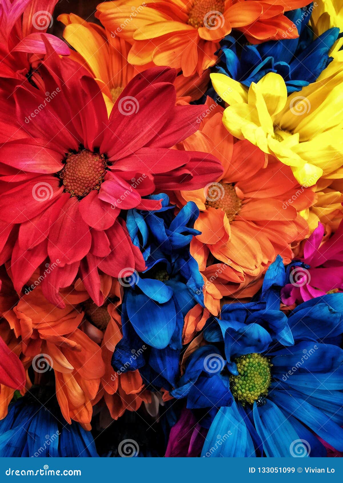 Colorful flower bouquet stock image. Image of colorful - 133051099