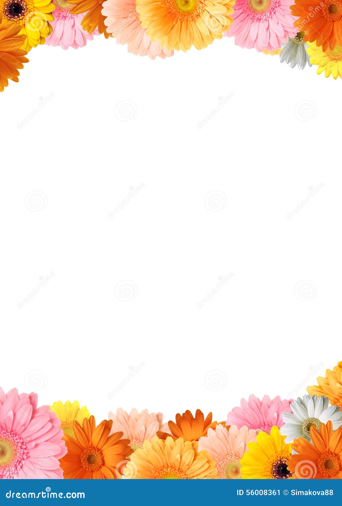 Colorful flower frame stock image. Image of colorful - 56008361