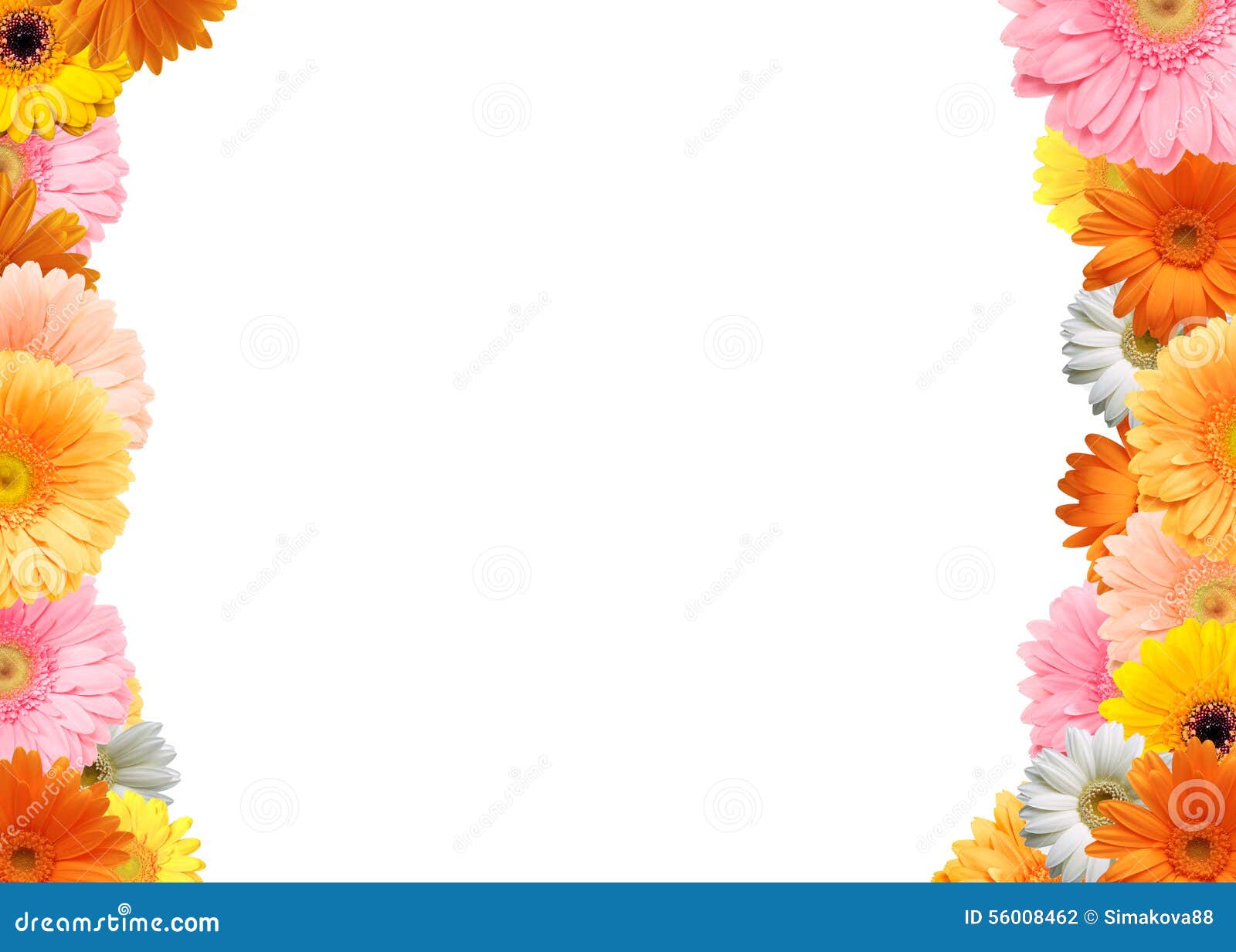 Colorful flower frame stock photo. Image of gerbera, orange - 56008462